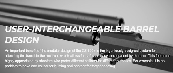 600+ MDT « Daily Bulletin