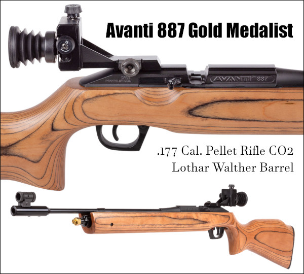 CMP « Daily Bulletin